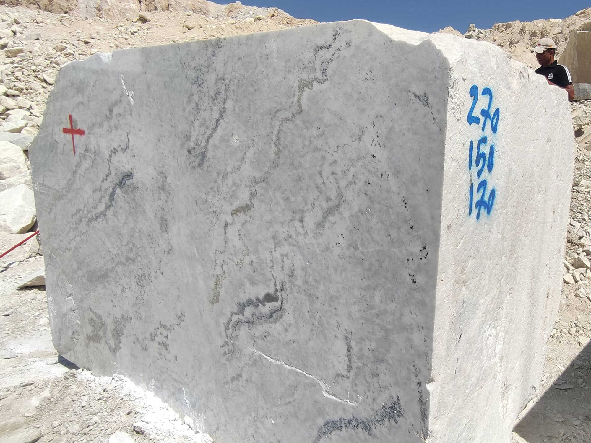 Snow White Marble – ZarrinSangTrade Company